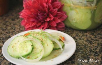Asian Pickle Recipe – Creative Living with Bren Haas