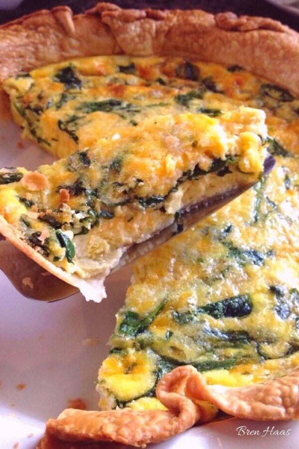 Easy Garden Fresh Quiche Recipe – Bren Haas