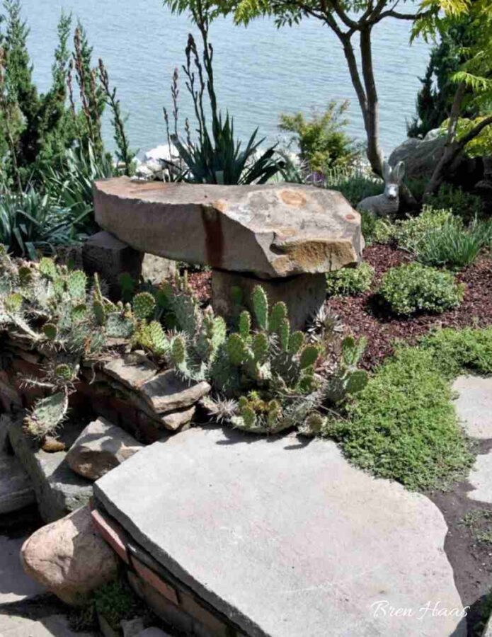 Growing Cactus in Ohio – Bren Haas