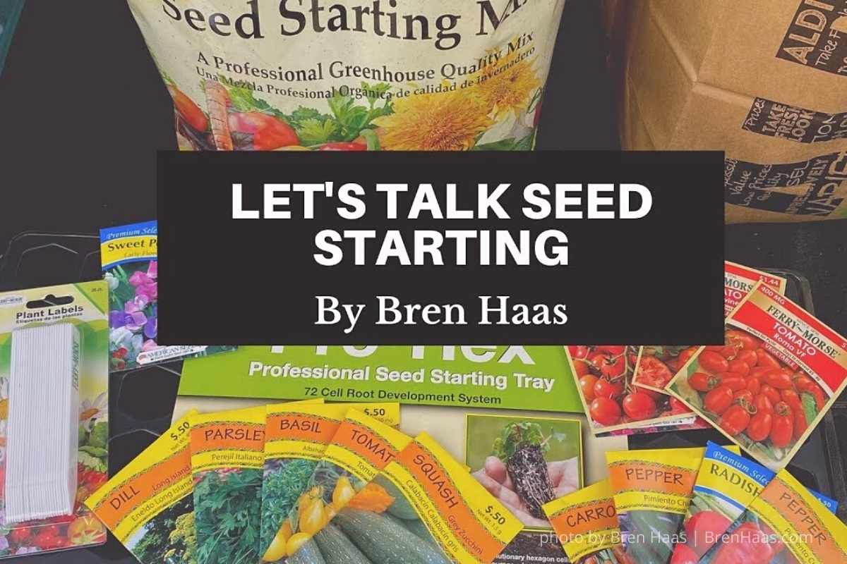 seed-starting-thumbnail – Bren Haas