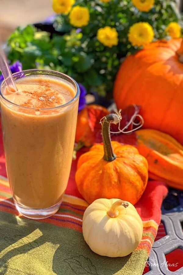 Pumpkin Pie Smoothie Recipe – Bren Haas