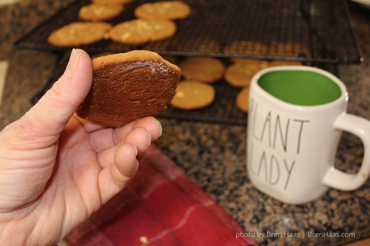 perfect-cookie-bottom – Bren Haas