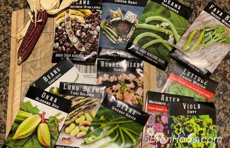 Bren Haas – Gardening Year-Round, Recipes, Home DIY