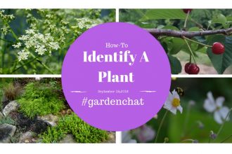 #gardenchat Network – Creative Living and Growing with Bren
